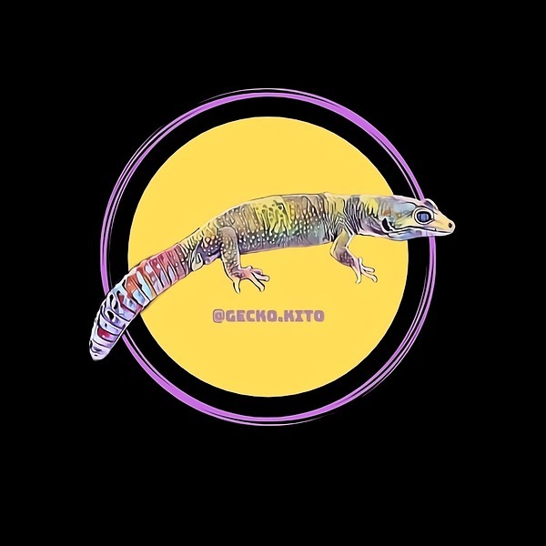 @gecko.kito | Linktree