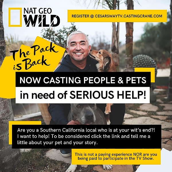 Cesar Millan | Linktree