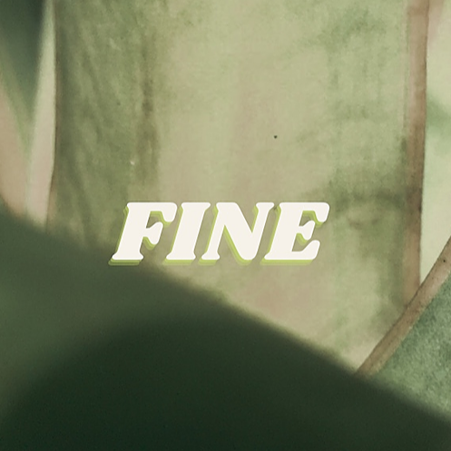 fine.sc | Instagram, Facebook | Linktree