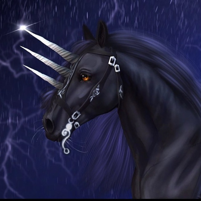 Thunder Riders SSO | Instagram | Linktree