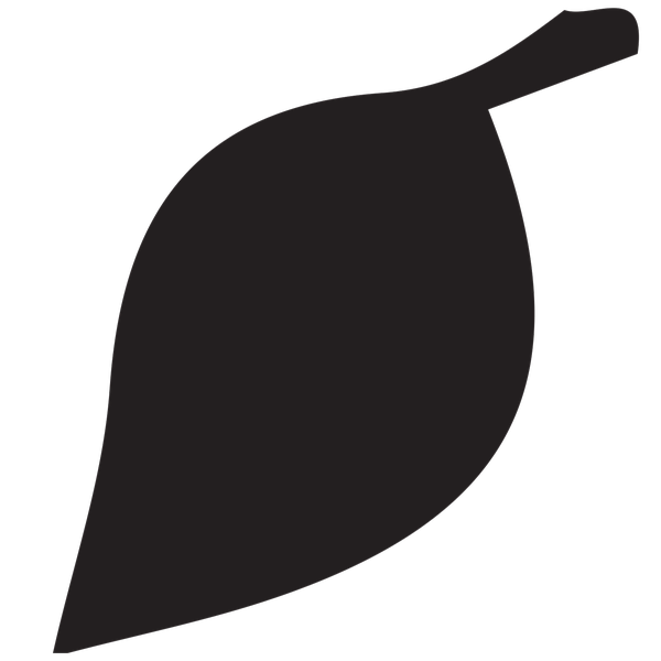 Jewel | Twitter, Instagram, Facebook | Linktree