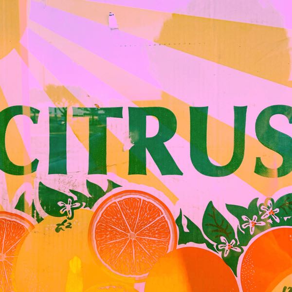 CITRUS | TikTok | Linktree