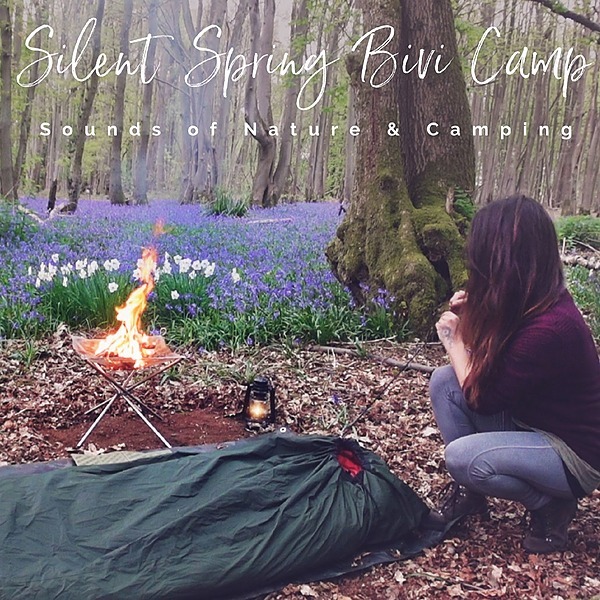 WildBeare | Instagram, Facebook | Linktree