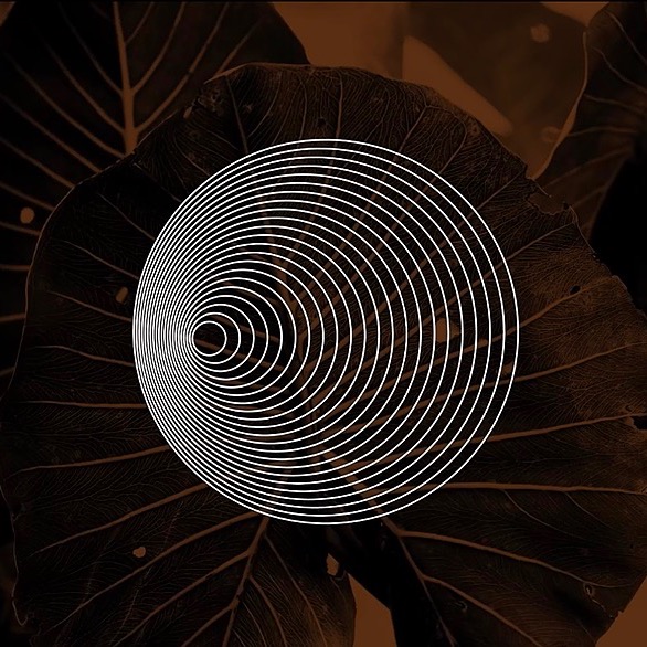 @LABVERDE | Linktree