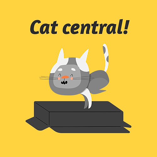 cat central | Instagram | Linktree