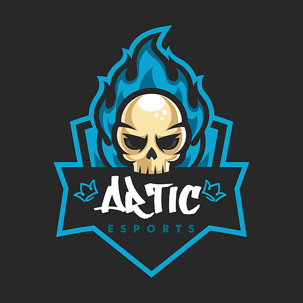 Siga-nos @esports_artic | Twitch | Linktree