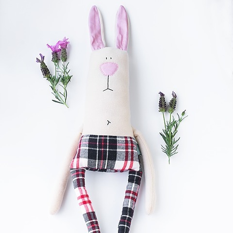 The Golly Family | Linktree