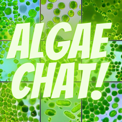 @algae_chat | Linktree