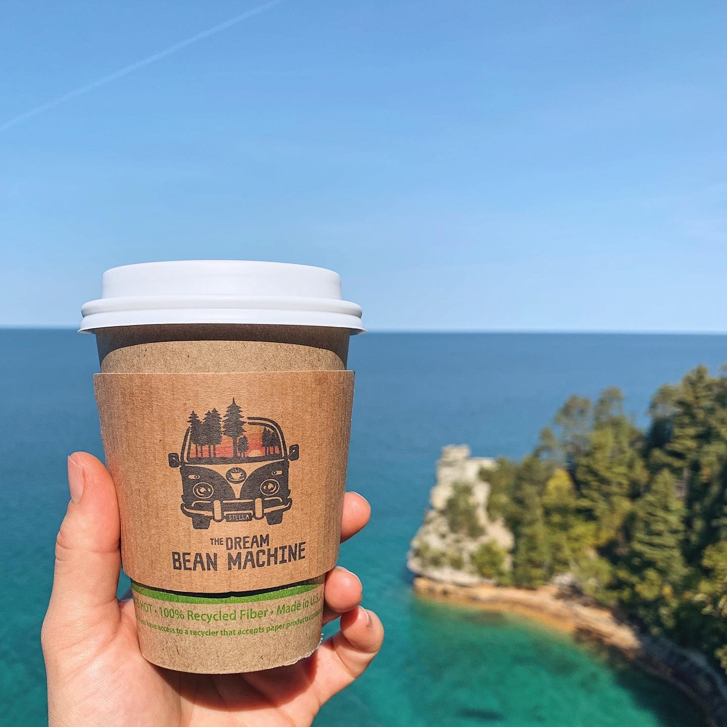 The Dream Bean Machine | Linktree