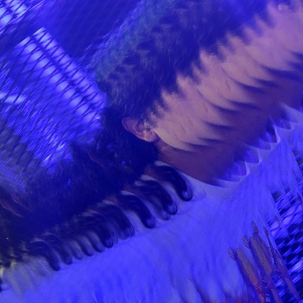 cadáver exquisito | Linktree