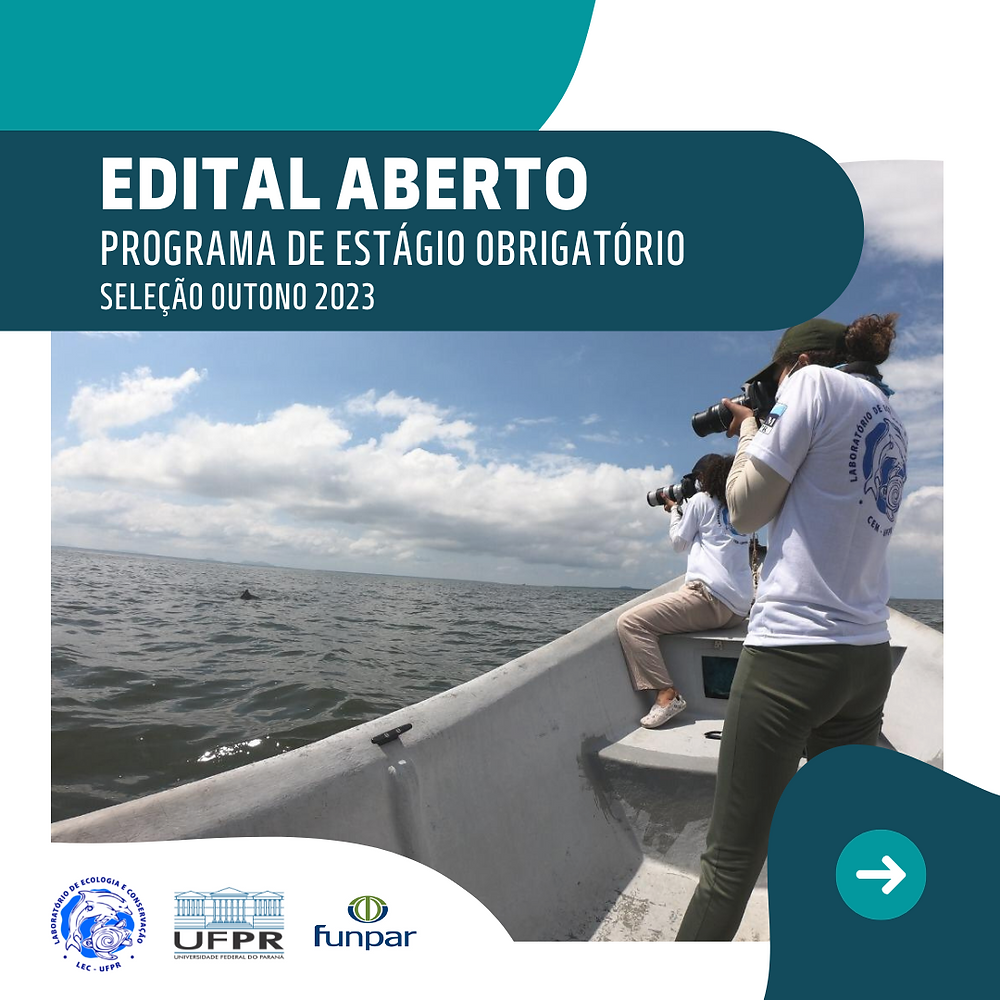 lec_ufpr | Instagram, Facebook | Linktree