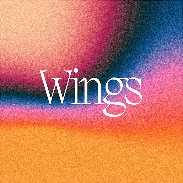 @wings.indore | Linktree