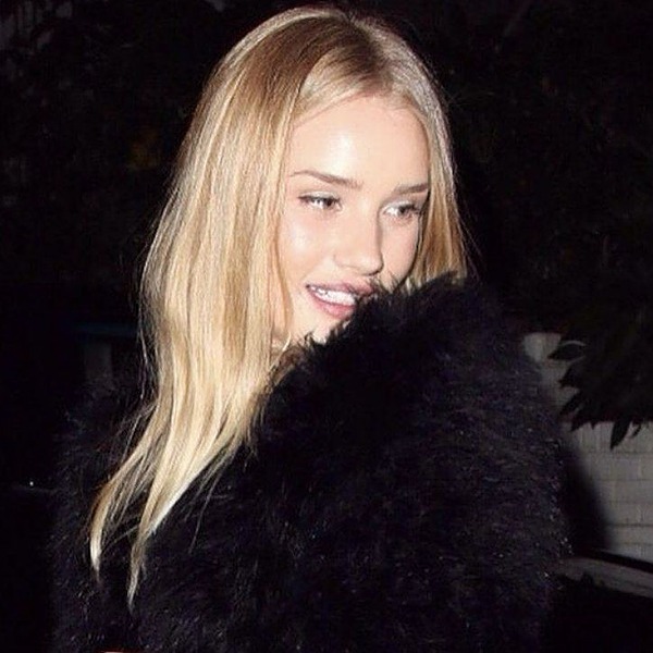 𝓗 | Twitter | Linktree