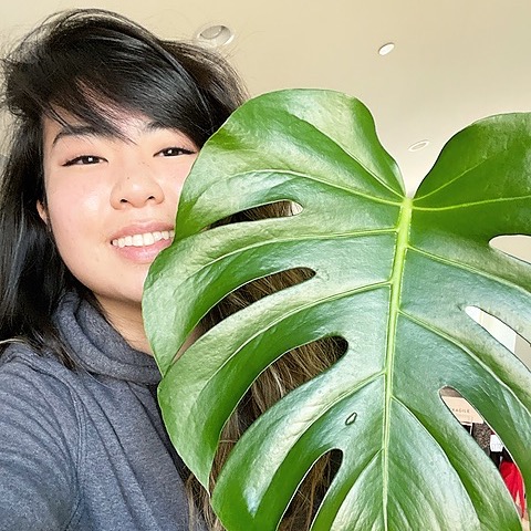 @jayy.plants | Linktree