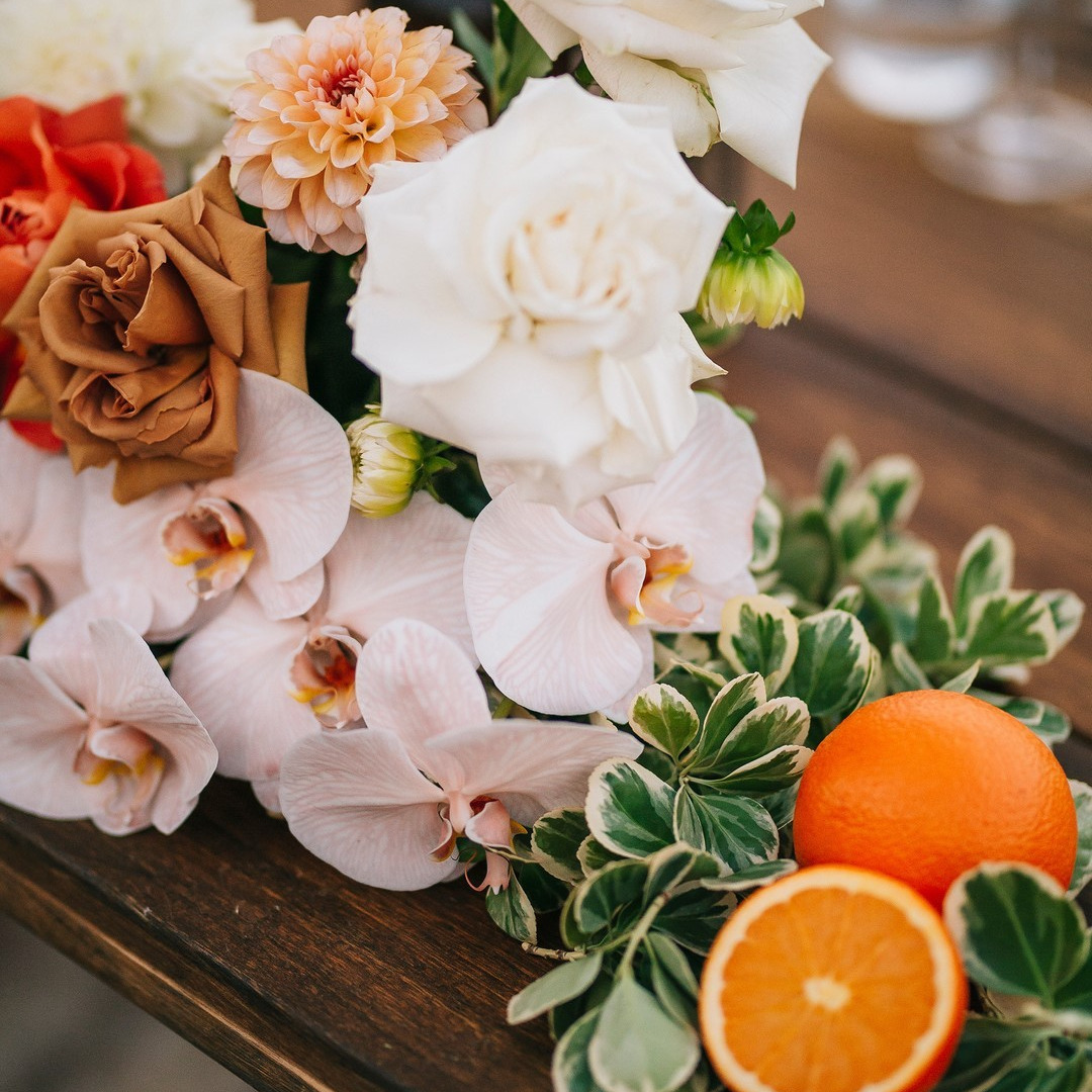 JACQUELINE JANE | Linktree