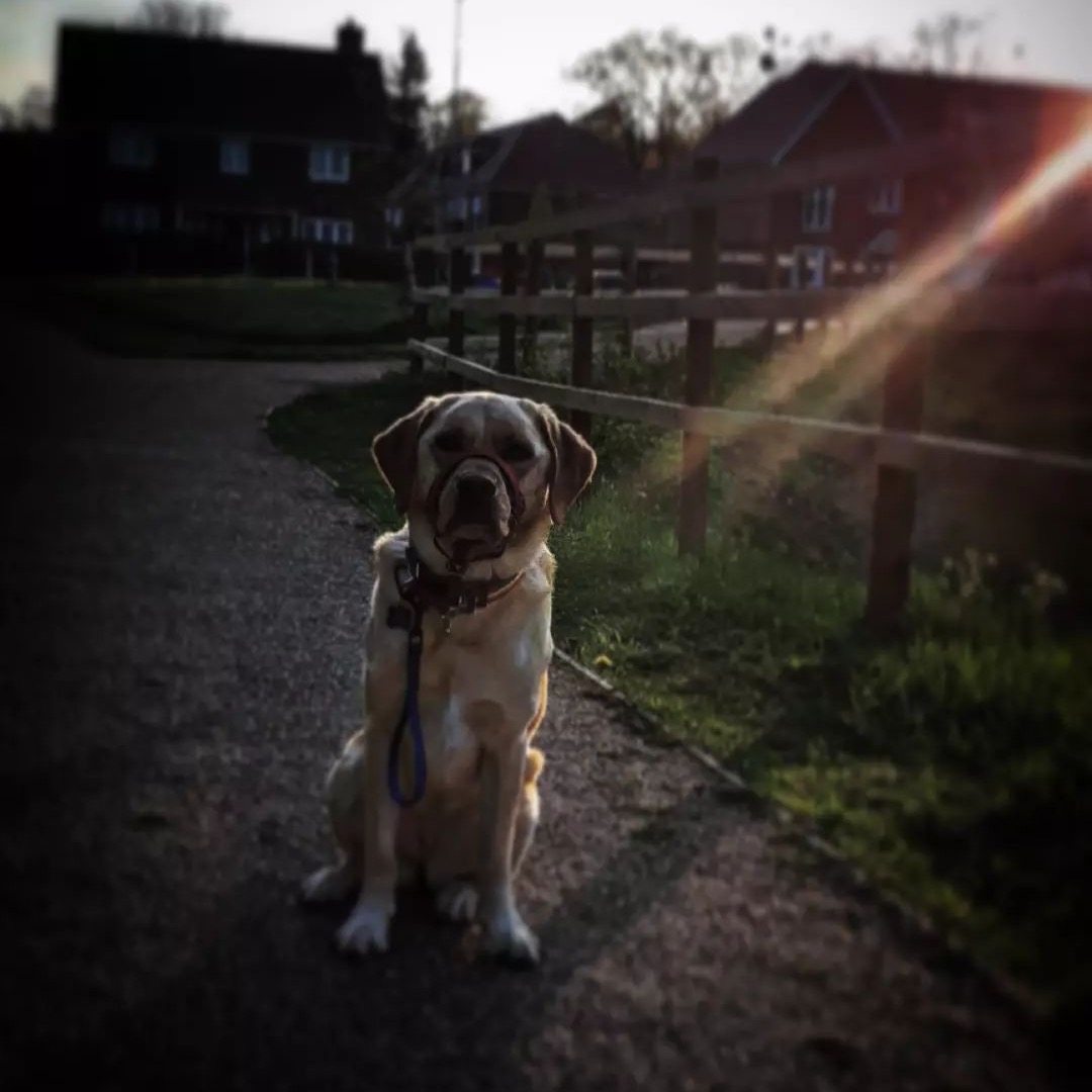 @rivers_reaction | Linktree