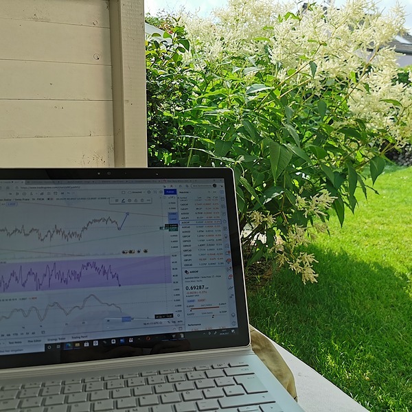 Forex Commodities Crypto | Instagram | Linktree