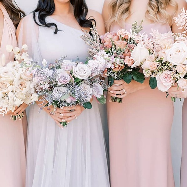 @TerrieNelson | Linktree