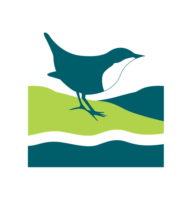 rivercalder | Twitter, Instagram, Facebook, TikTok | Linktree