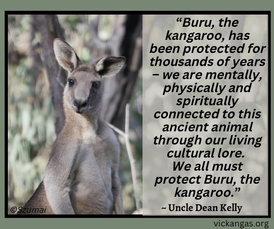 Victorian Kangaroo Alliance | Twitter, Instagram, Facebook | Linktree