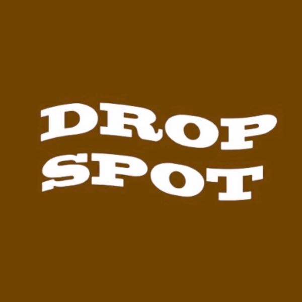 Drop Spot Vintage | Linktree