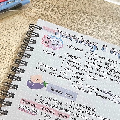 -nnlazy.studygram- | Linktree