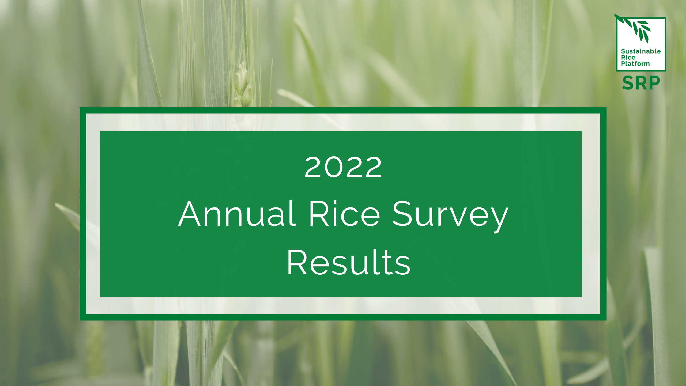 @srp_rice | Linktree