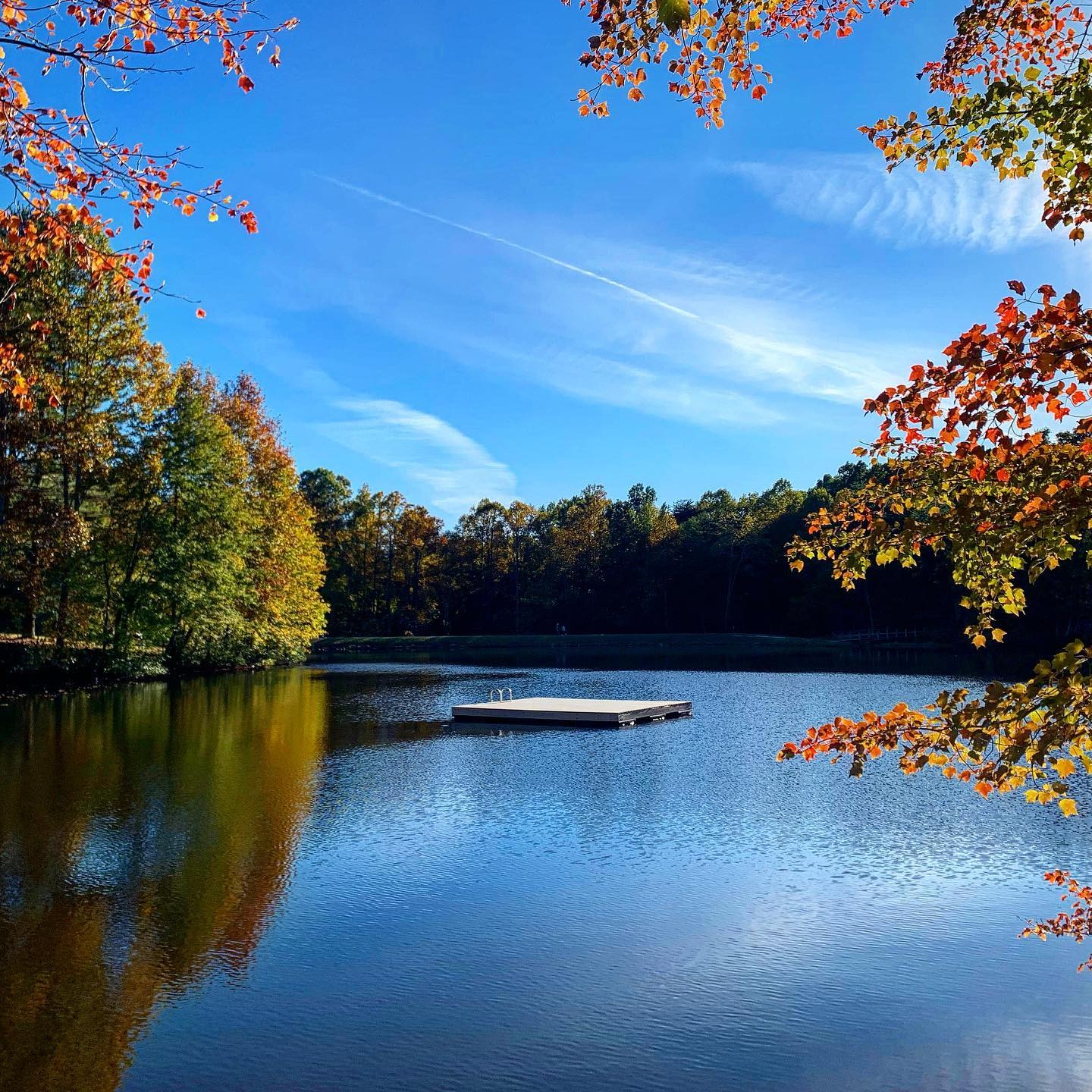 @happyly_nash | Linktree