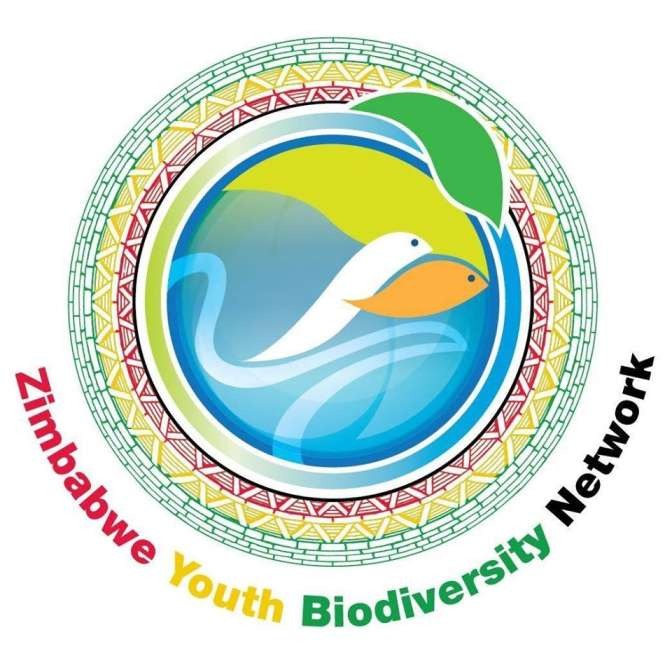 zybn | Twitter, Instagram, Facebook, TikTok | Linktree