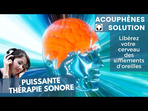 @musicevasion | Linktree