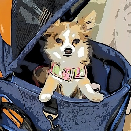 Frannielife | Instagram, Facebook, TikTok | Linktree