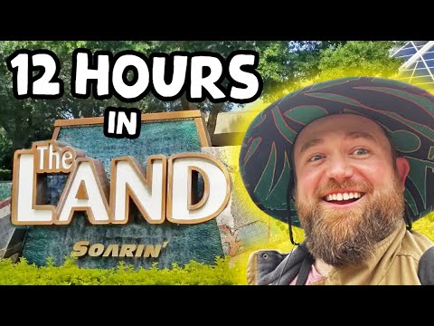 Disney Dan Youtube | Linktree