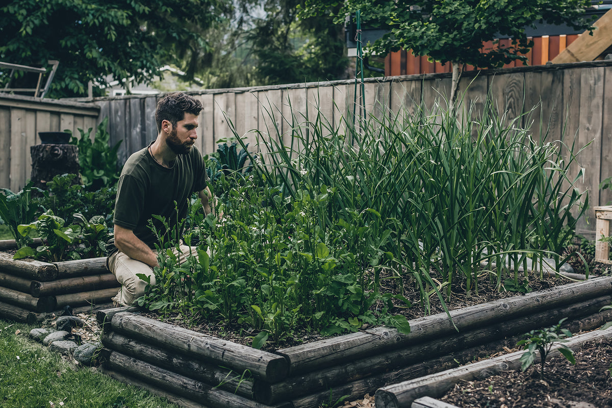 Mind & Soil | Linktree