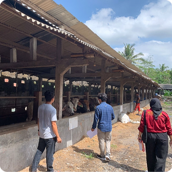 Grup Farm ITP 2023 | Linktree