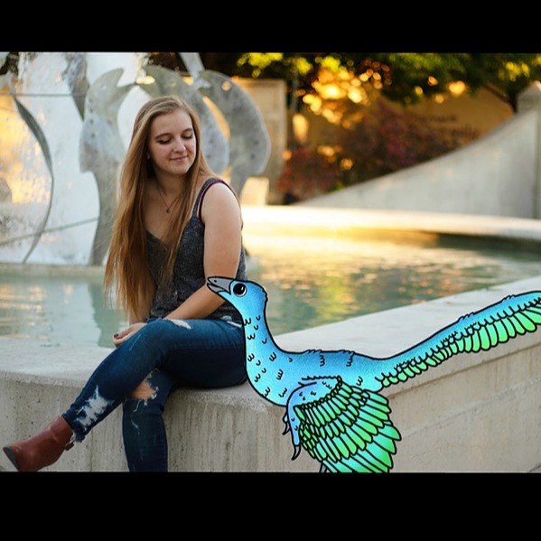 @Evelyn_vollmer | Linktree