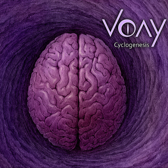 voay | Twitter, Instagram, Facebook | Linktree