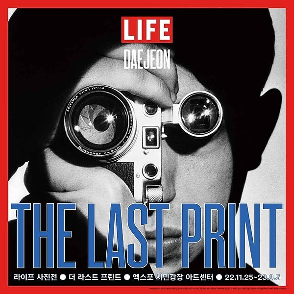 THE LAST PRINT | Linktree
