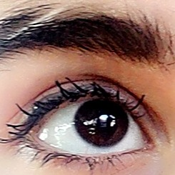 Malek_04 | Twitter, Instagram, TikTok, Twitch | Linktree