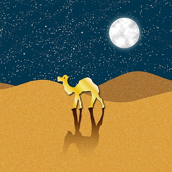 Golden camel's journey | Twitter, Instagram | Linktree