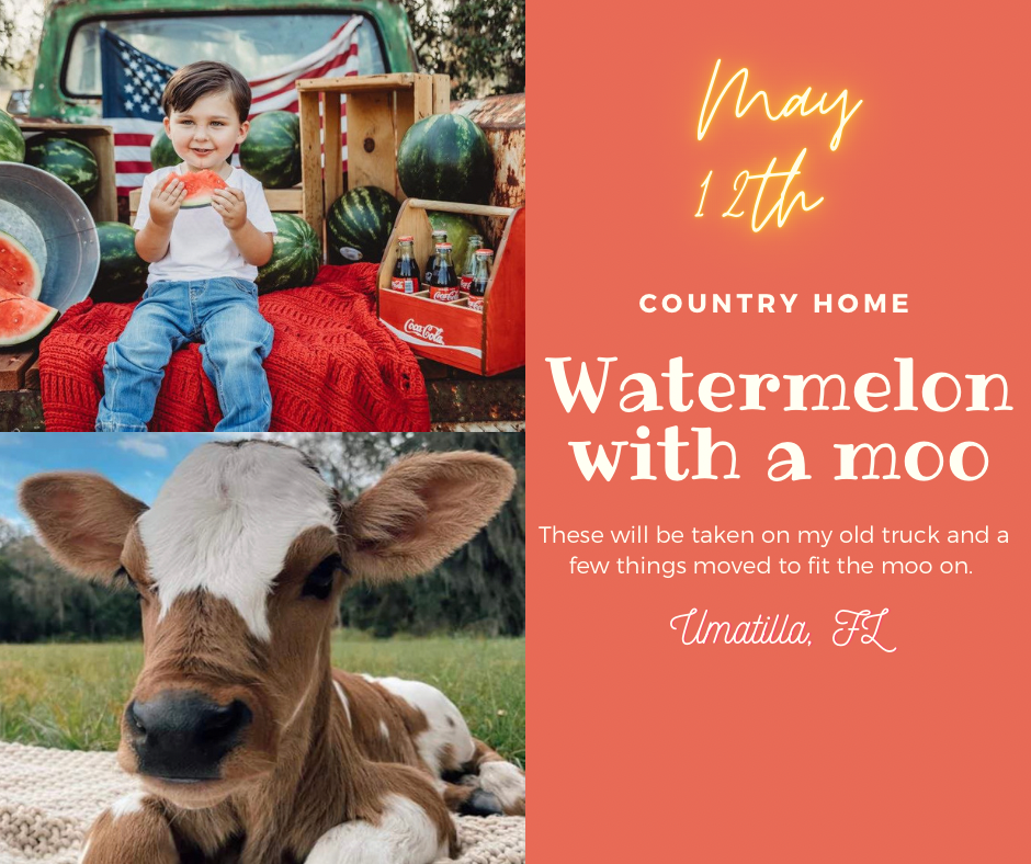 Rissa’s Little Moos LLC | Instagram, Facebook, TikTok | Linktree