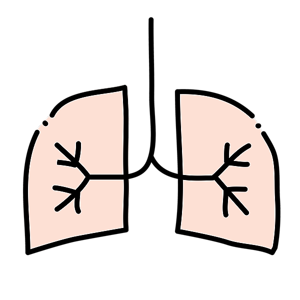 The Insighters | Linktree