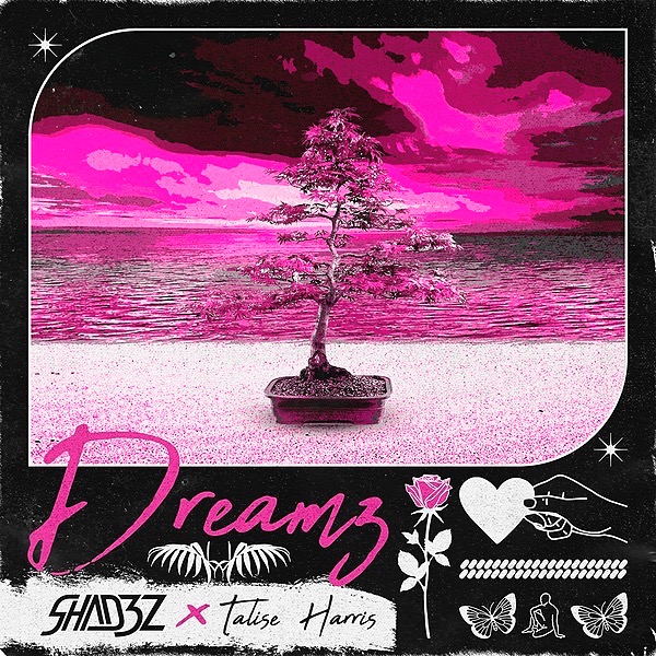 Talise Harris - Find Talise Harris Onlyfans - Linktree