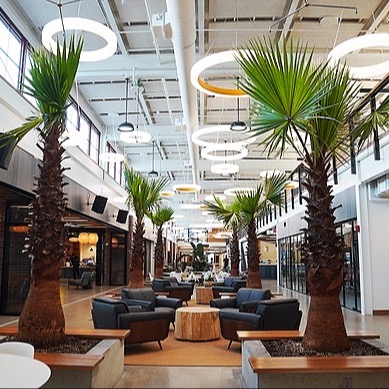 HULA LAKESIDE | Linktree