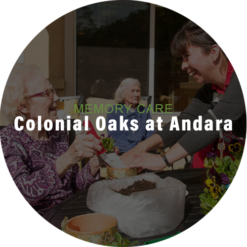 Colonial Oaks at Andara | Linktree