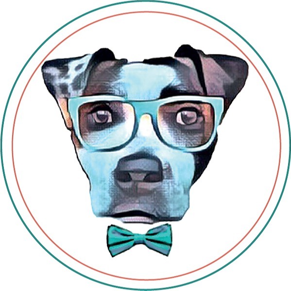 Urban Tails Pet Boutique | Instagram, Facebook | Linktree