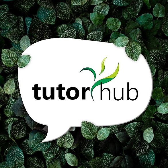 TUTOR HUB ONLINE TUITION | Linktree