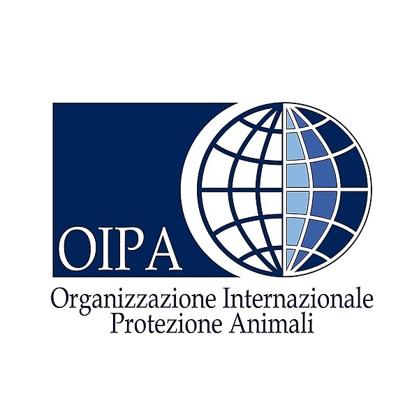 OIPA Italia | Twitter, Instagram, YouTube, Facebook, TikTok | Linktree
