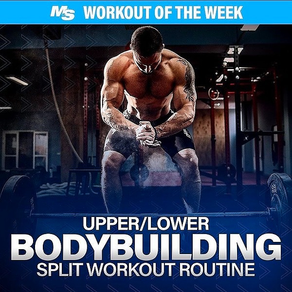 Muscle & Strength | Linktree