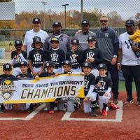 Wow Factor National Baseball | Twitter, Instagram, Facebook | Linktree