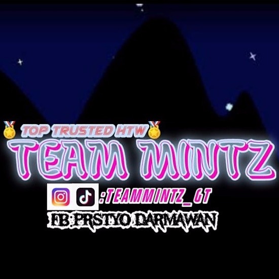 Team Mintz _ GT | Linktree